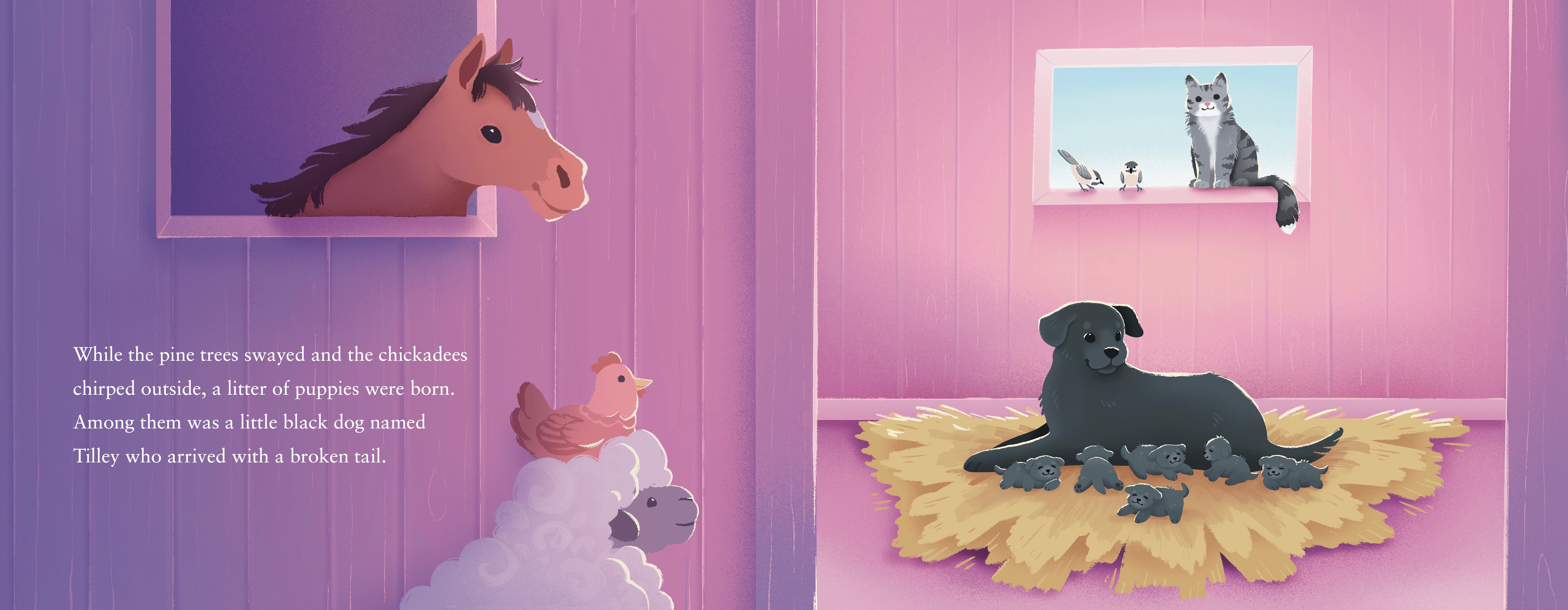 Tilley's Tail – Monster House Publishing